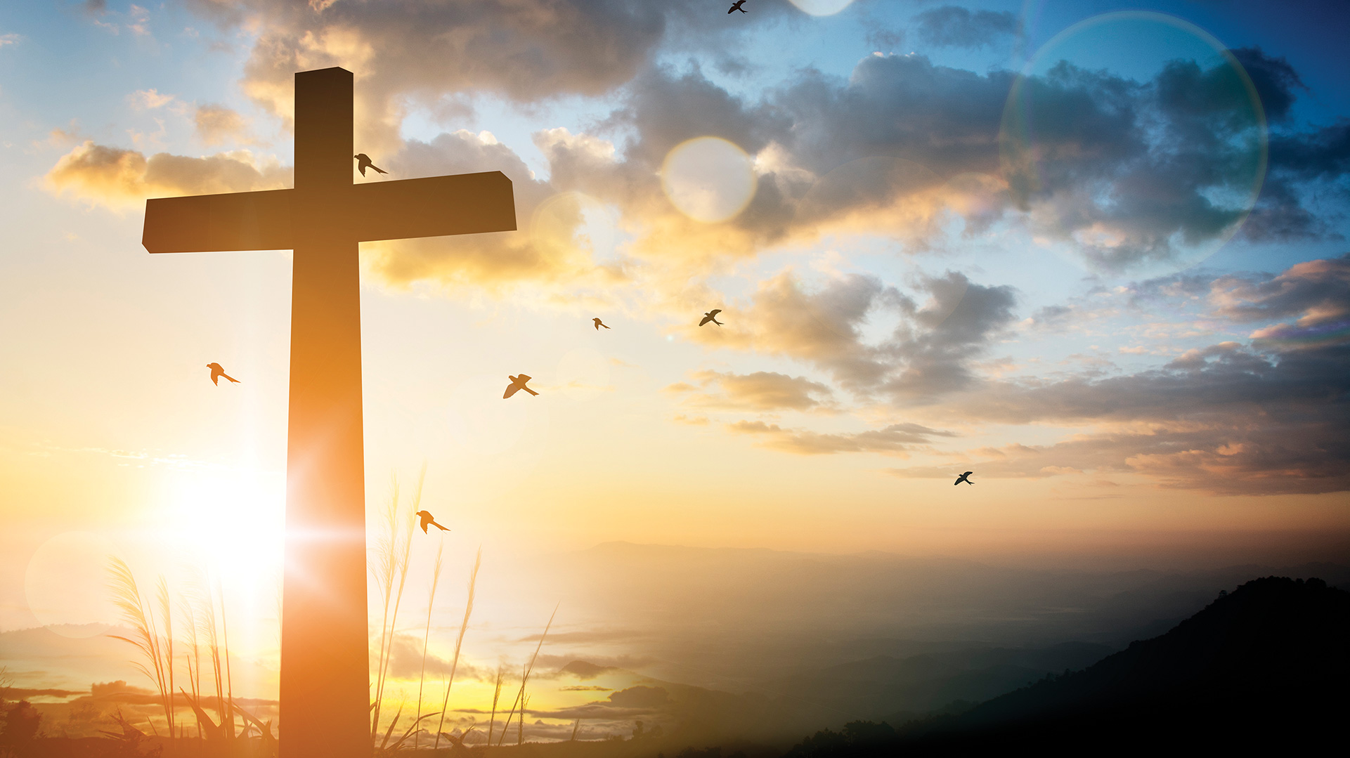 Churches in Lafayette - Jesus Worship Center ...